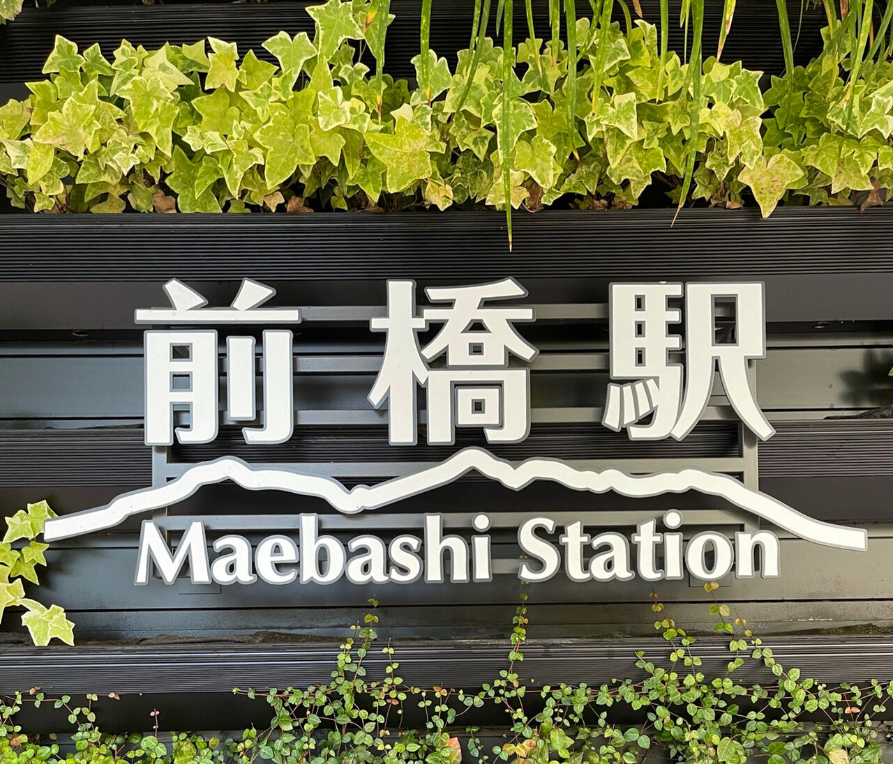 【萩原朔美の前橋航海日誌vol.15】「故郷」｜前橋発、新しい風 「めぶく」街 。前橋の様々な話題を取り扱う前橋新聞-mebukuです。