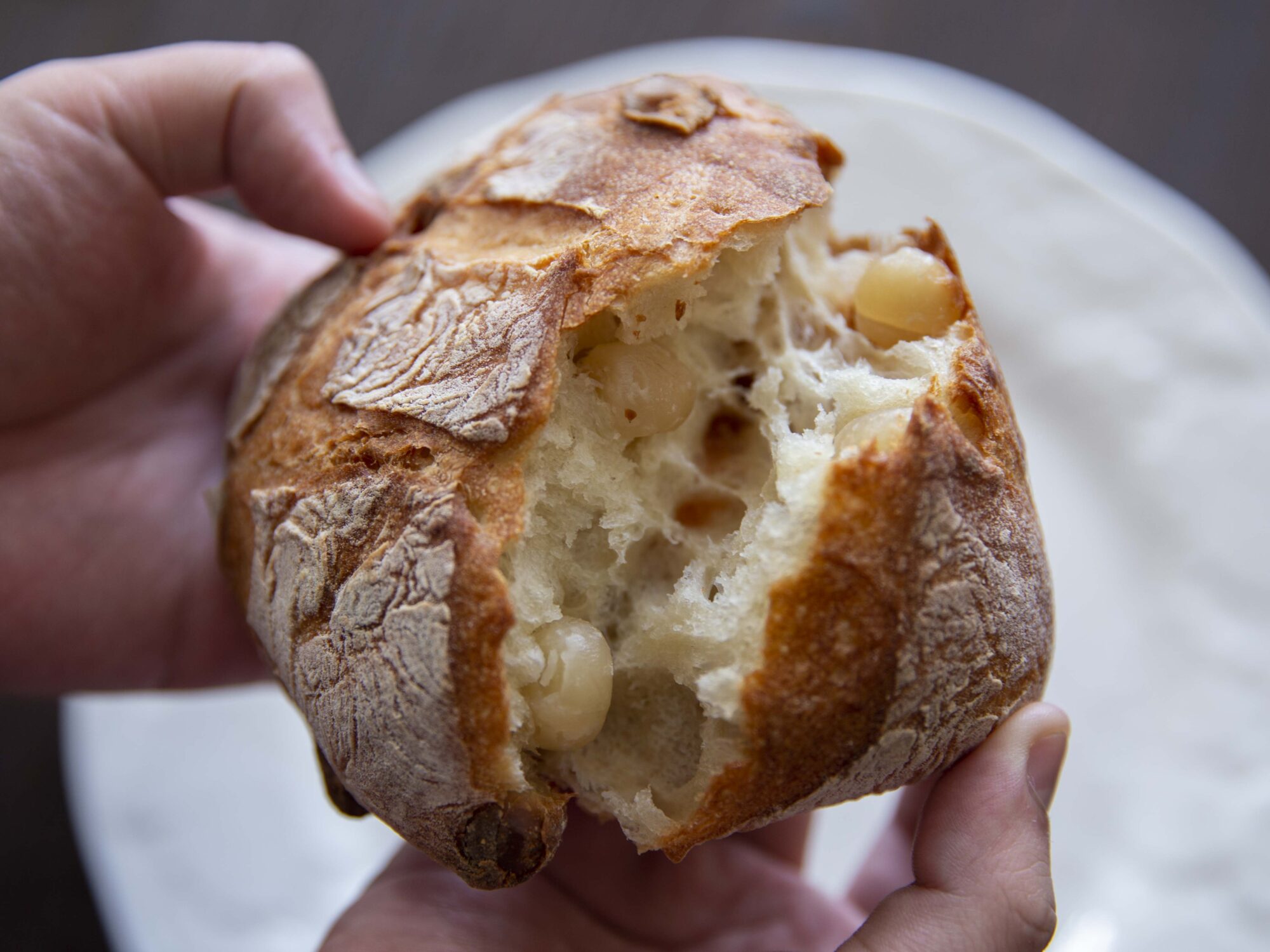 欧風パン グランボワ はまる人続出 マカダミアナッツのパン（N）の前橋グルメ情報｜前橋発、新しい風 「めぶく」街 。前橋の様々な話題を取り扱う前橋新聞-mebukuです。