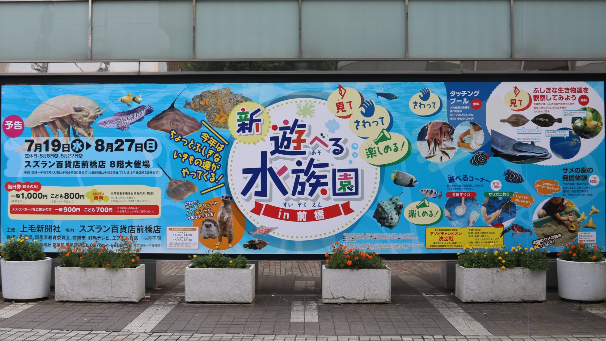水族園がやってきた 前橋スズランで8月27日まで(K)｜前橋発、新しい風 「めぶく」街 。前橋の様々な話題を取り扱う前橋新聞-mebukuです。