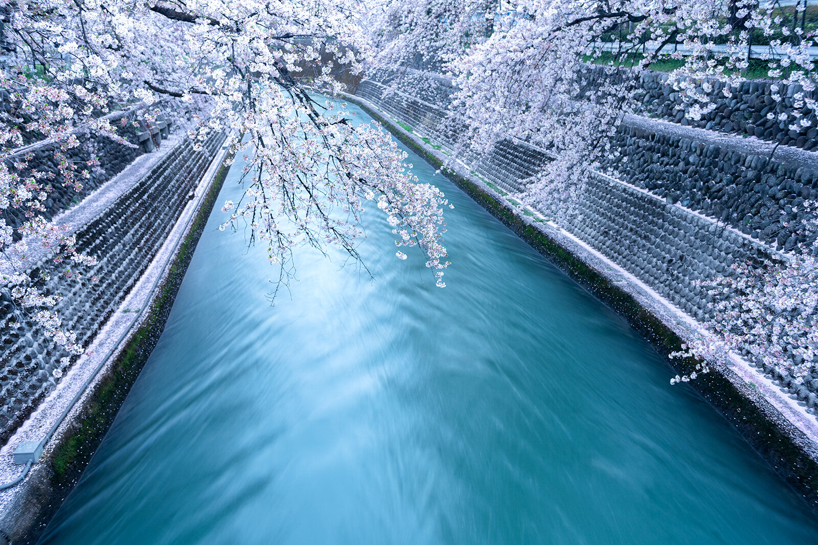 【写真家・長瀬正太の視線Vol.11】世界の全てが青くなる時間（N）｜前橋発、新しい風 「めぶく」街 。前橋の様々な話題を取り扱う前橋新聞-mebukuです。