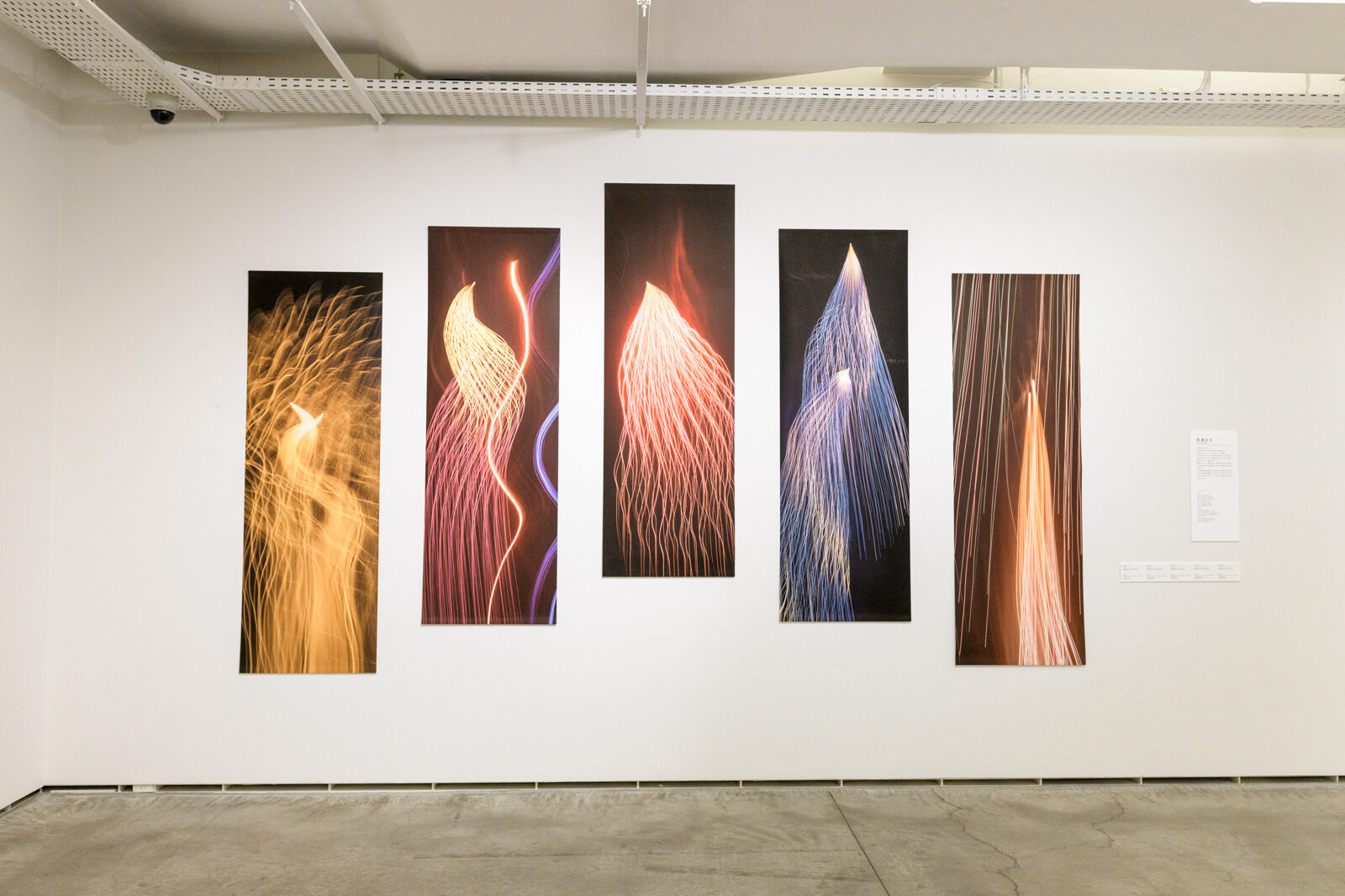 【写真家・長瀬正太の視線Vol.13】ウズベキスタン（N）｜前橋発、新しい風 「めぶく」街 。前橋の様々な話題を取り扱う前橋新聞-mebukuです。