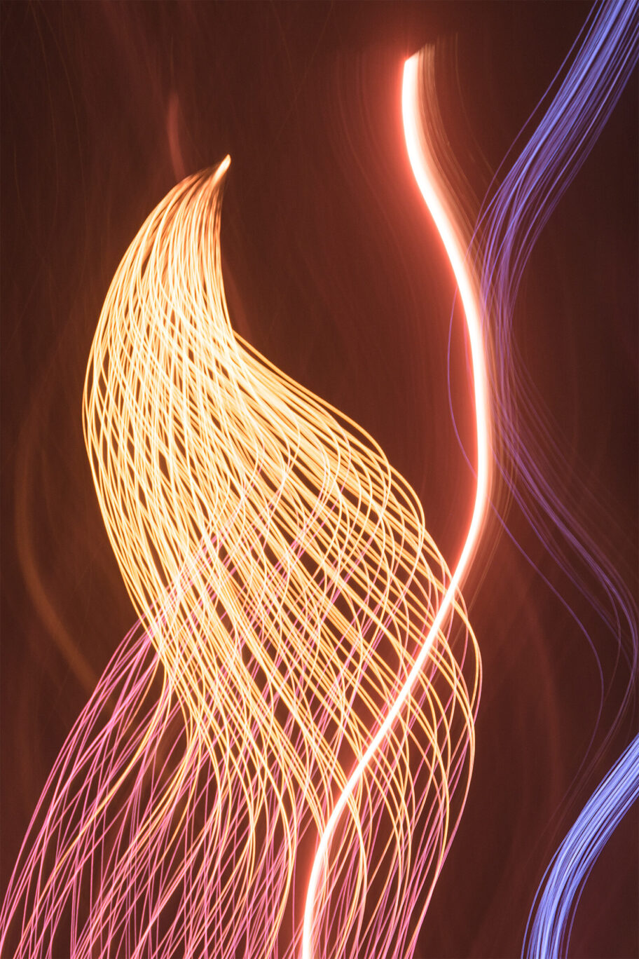 【写真家・長瀬正太の視線Vol.15】いろ・イロ・色｜前橋発、新しい風 「めぶく」街 。前橋の様々な話題を取り扱う前橋新聞-mebukuです。