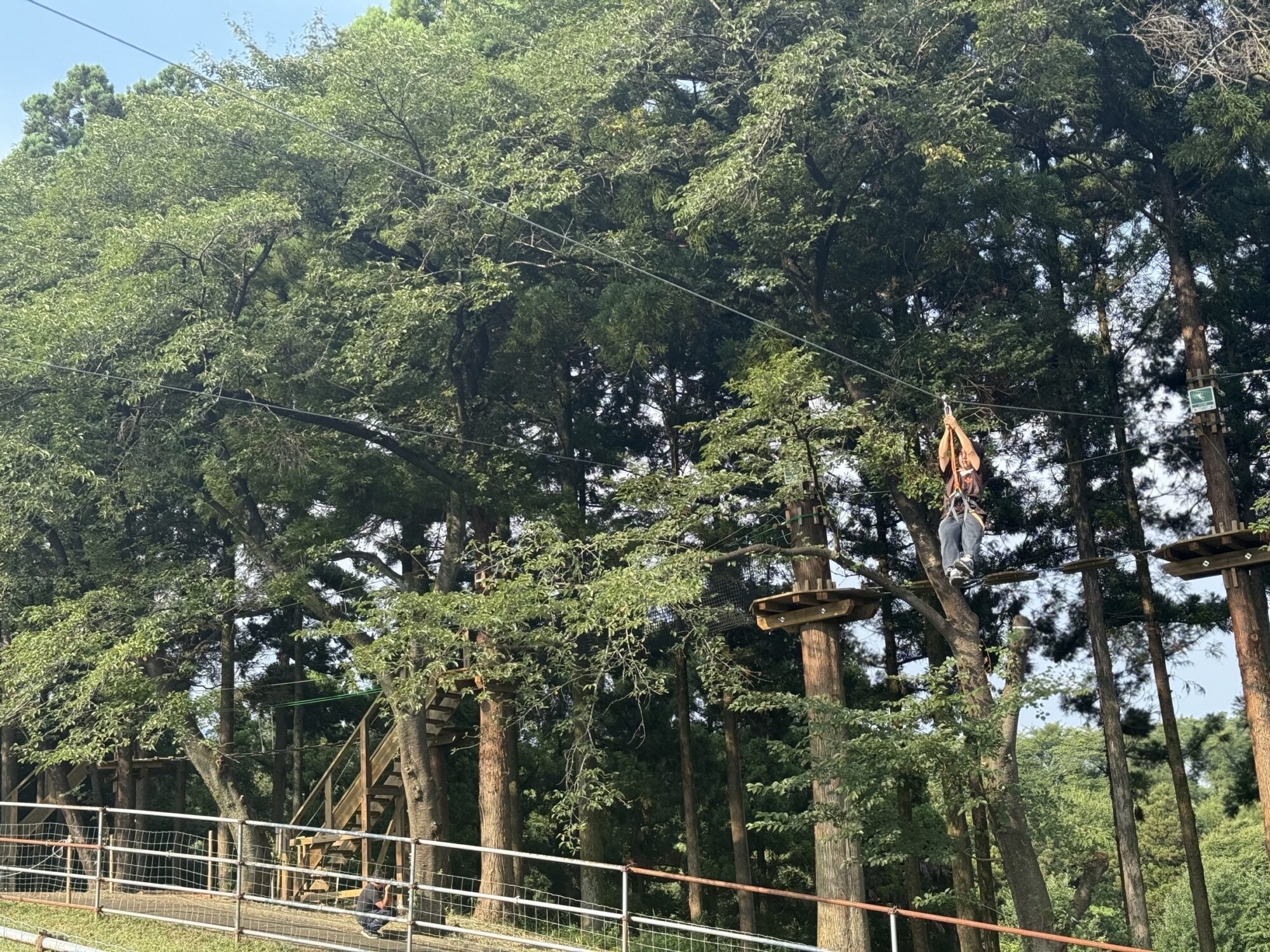 ジップラインで風切ろう 大胡ぐりーんふらわー牧場｜前橋発、新しい風 「めぶく」街 。前橋の様々な話題を取り扱う前橋新聞-mebukuです。