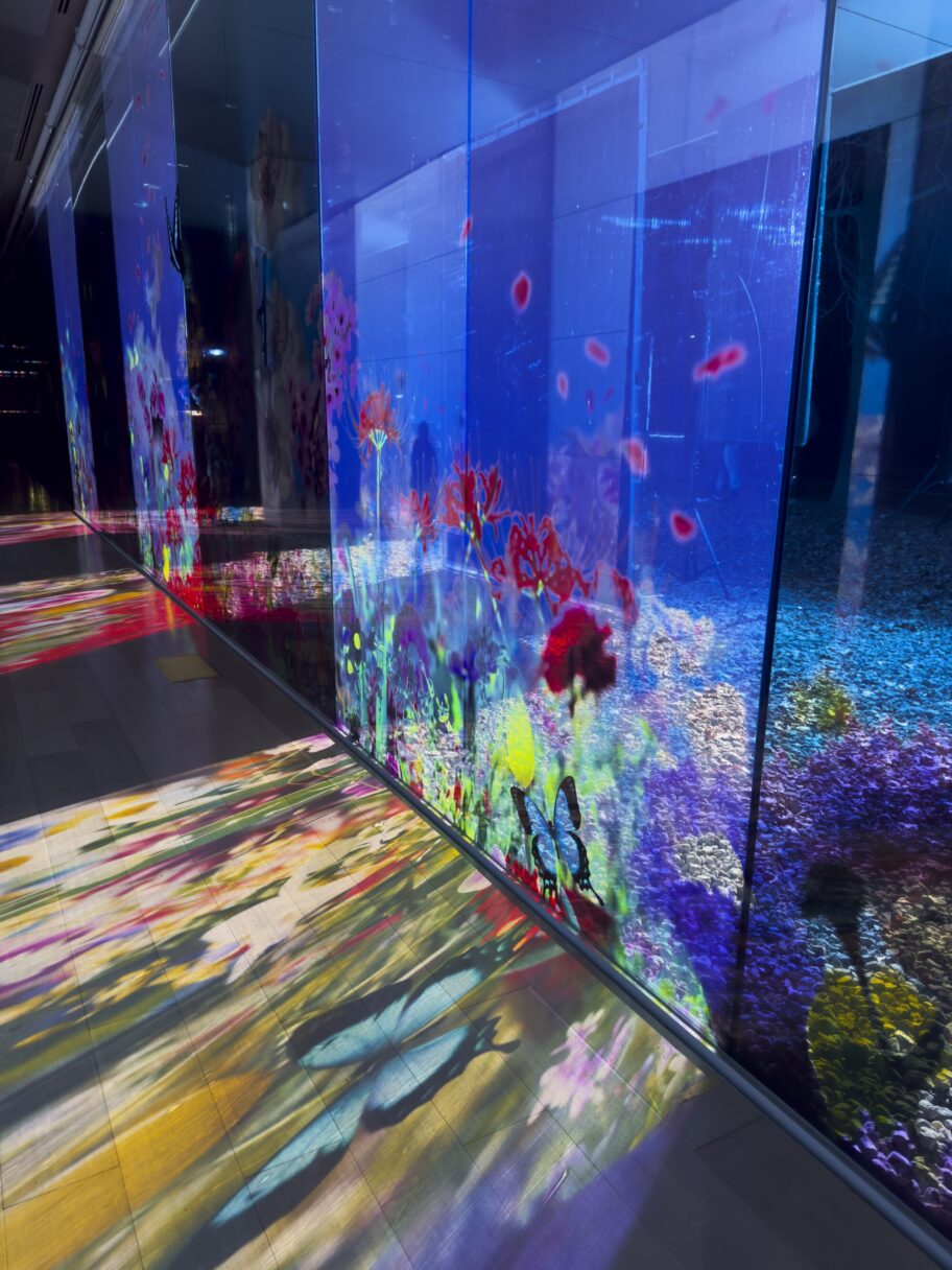 蜷川実花さんのアートイルミネーション 12月1日から白井屋ホテルを彩る｜前橋発、新しい風 「めぶく」街 。前橋の様々な話題を取り扱う前橋新聞-mebukuです。