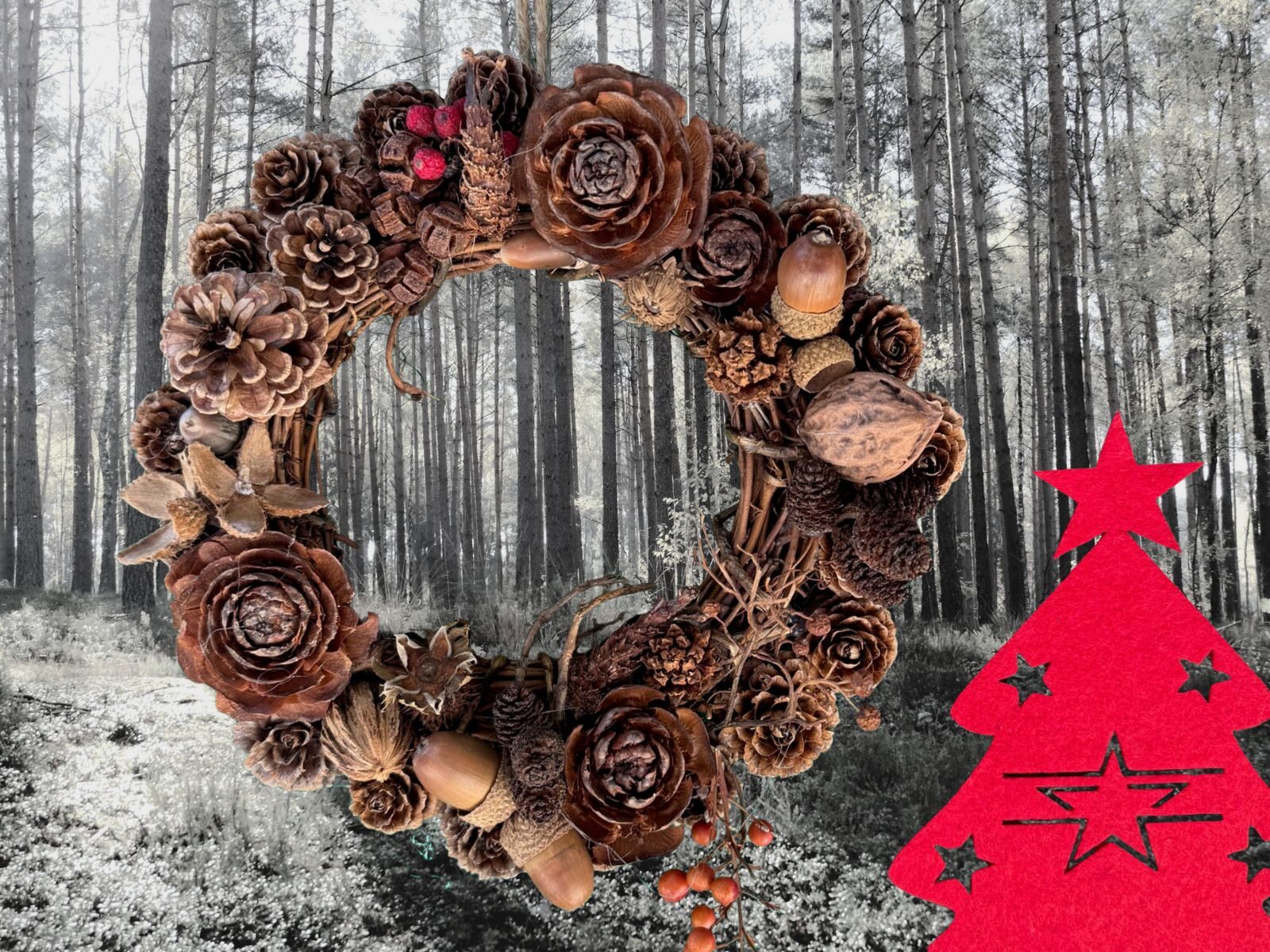 【癒しの森にようこそ－赤城自然園だより 27】森deリース作り 12月6、13日開催｜前橋発、新しい風 「めぶく」街 。前橋の様々な話題を取り扱う前橋新聞-mebukuです。